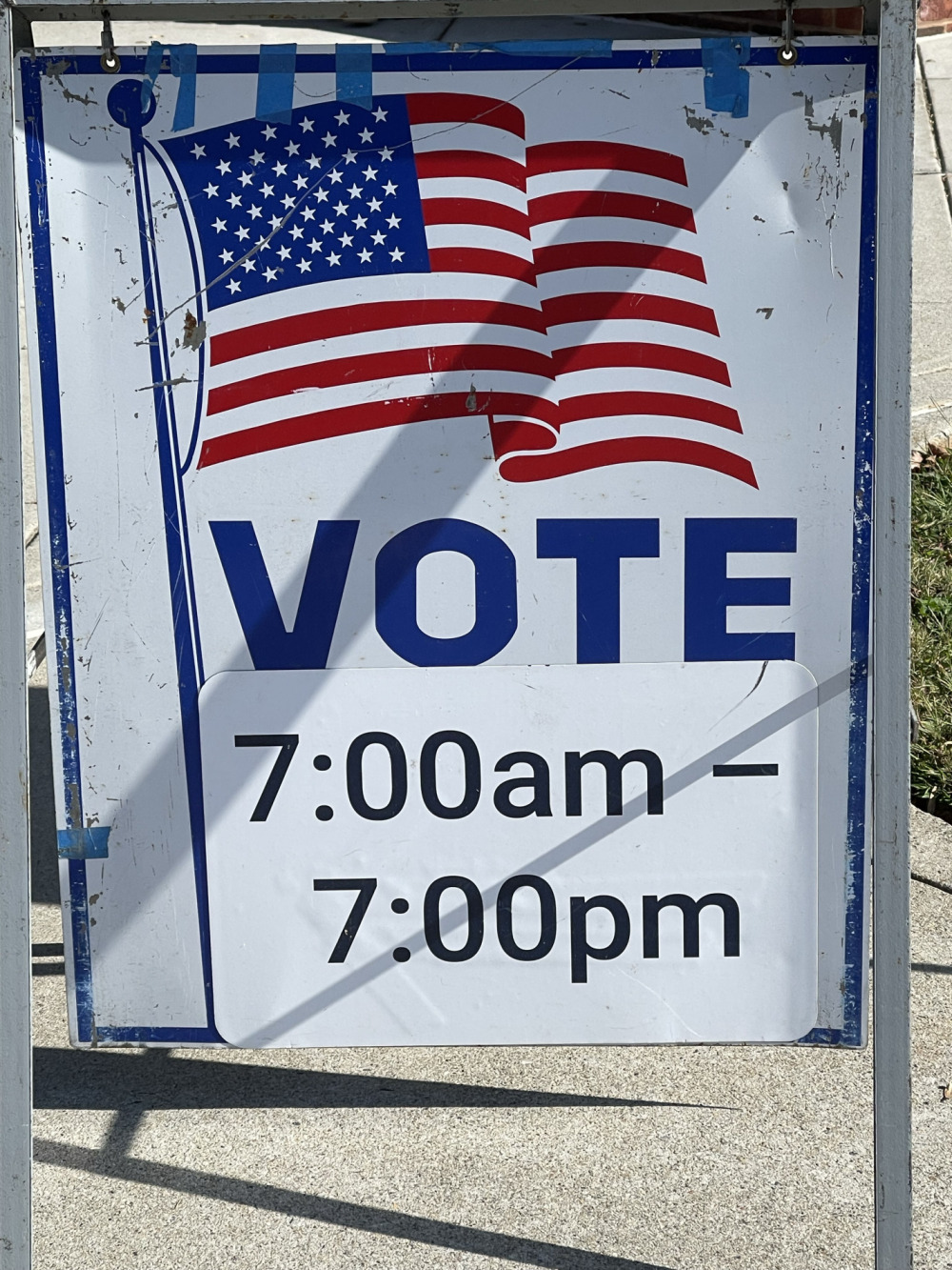 Vote Early in Person? - Georgia Asian Times